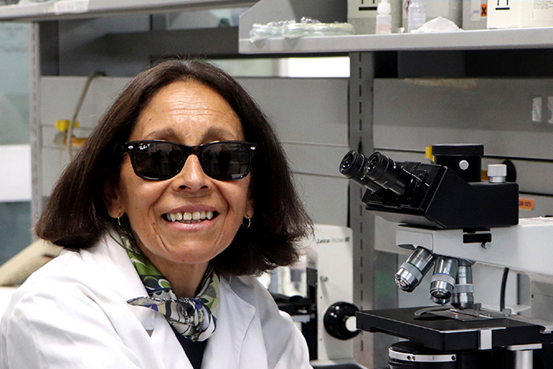 Lysinibacillus sphaericus, reconocimiento a bacteria investigada en ...