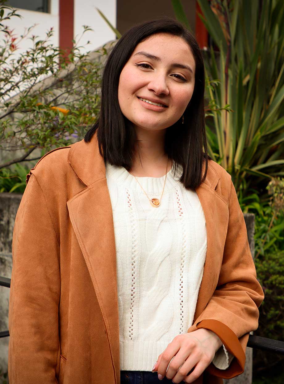 Estudiando el mono araña café